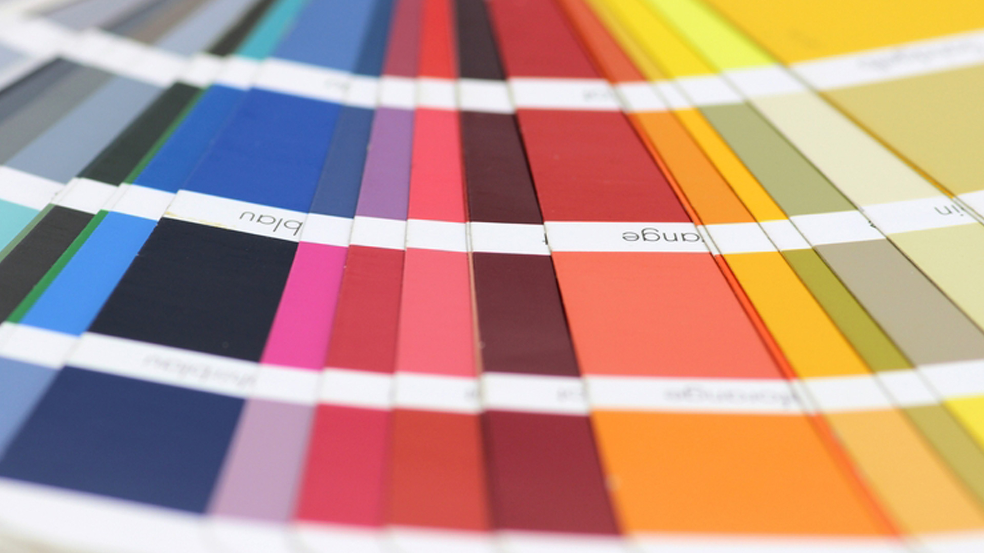 Learn to customize your Triggr